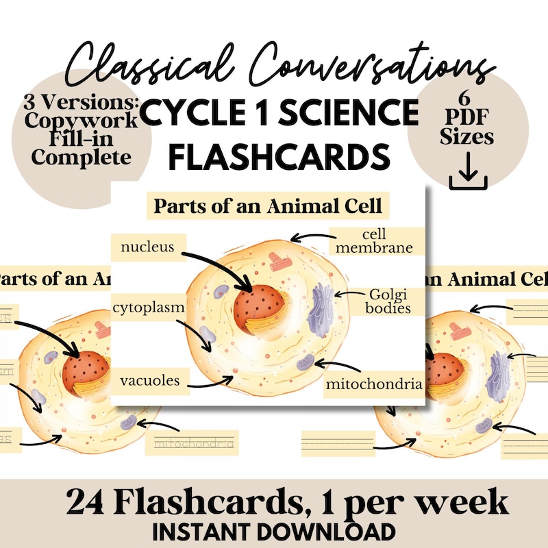 Classical Conversations - Etsy