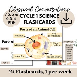 Classical Conversations Cycle 1 Science, History & English Bundle ...