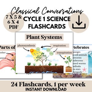 Classical Conversations Cycle 1 Science, History & English Bundle ...