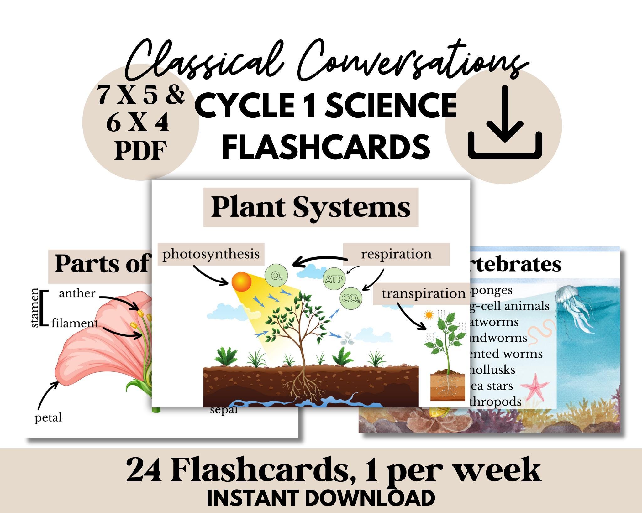 Classical Conversations Cycle 1 Science, History & English Bundle ...