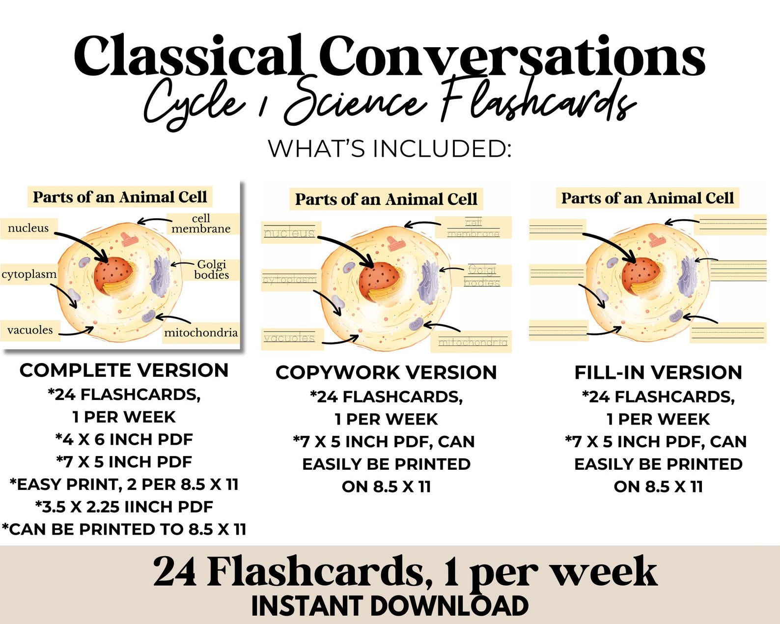 Classical Conversations Cycle 1 Science Flashcards Cycle 1 Science ...