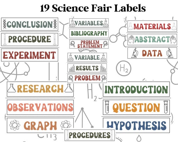 Science Fair Scientific Method Poster Igniting Curiosity At The 2024