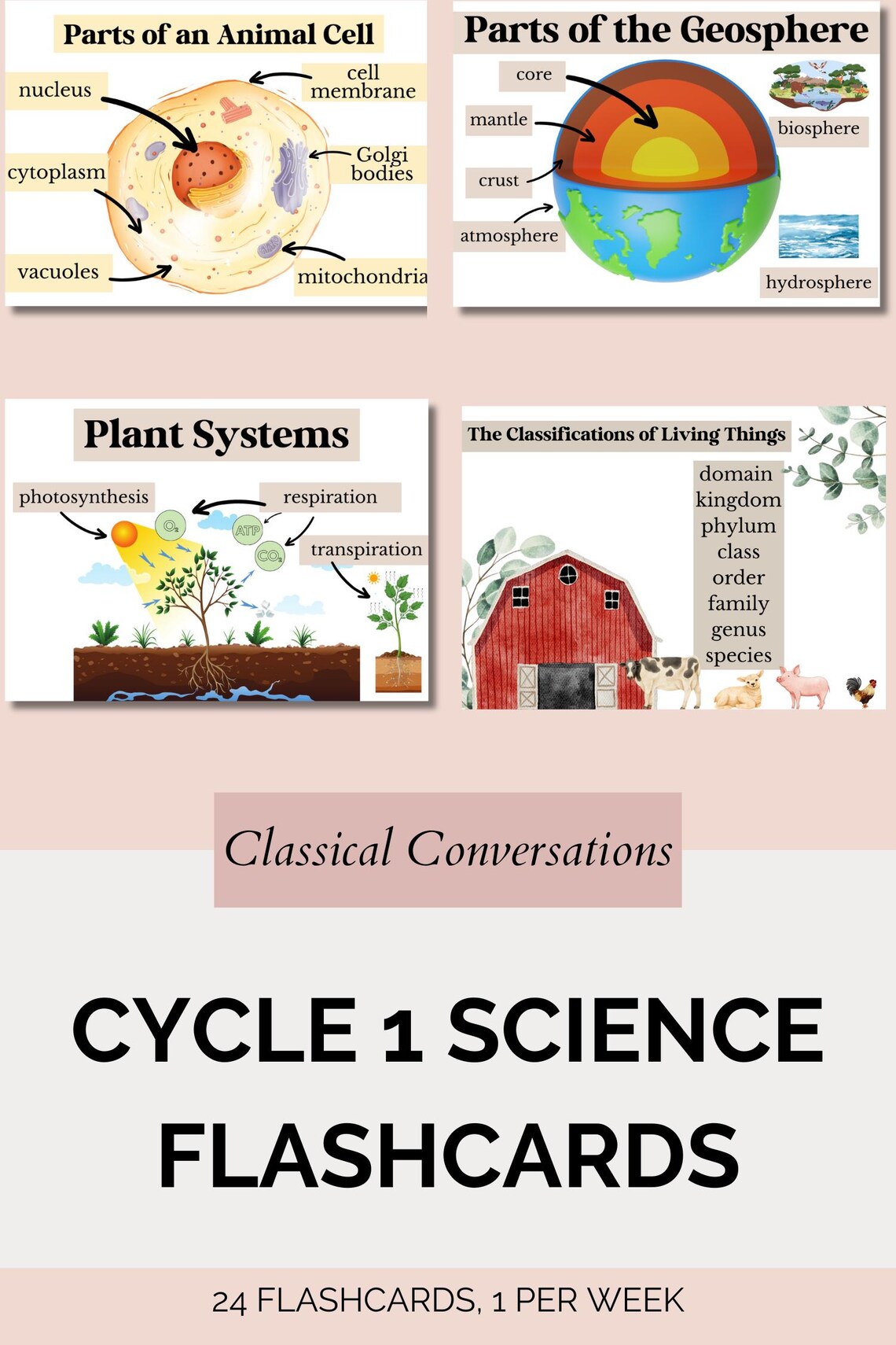 Classical Conversations Cycle 1 Science Flashcards Cycle 1 Science ...