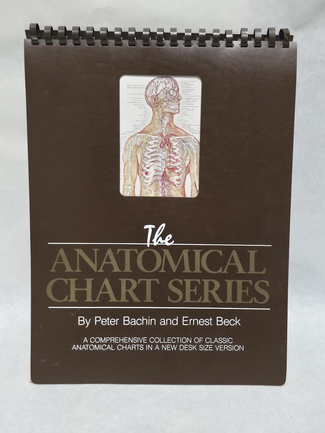 Vintage 1980s Anatomical Chart Series – Peter Bachin & Earnest Beck ...