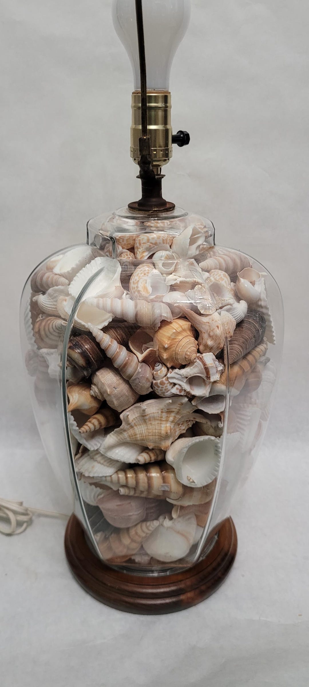 Vintage Mid Century Modern Real Sea Shell Glass Table Lamp MCM Beach ...