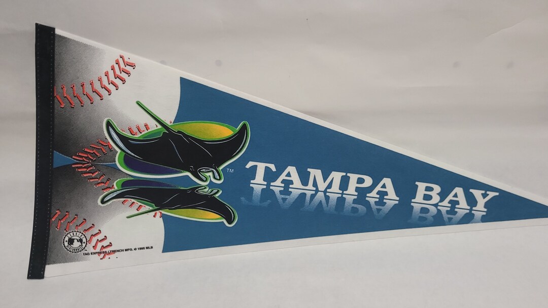 Vintage Wincraft Tampa Bay Devil Rays Inaugural Season Year 1995 ...