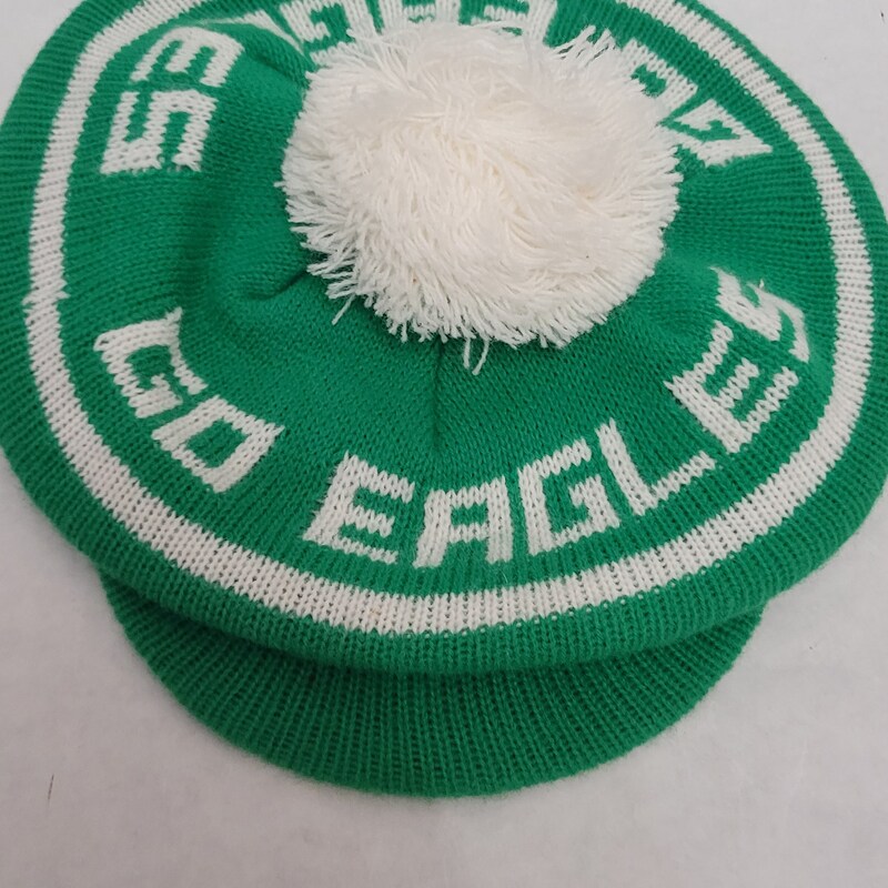 Philadelphia Eagles Skull Cap - Etsy