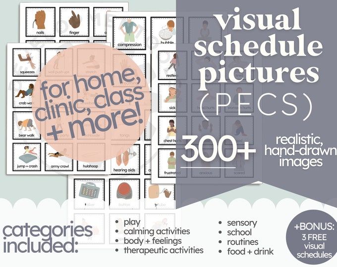 Boardmaker I Feel, I Need, I Want Card/create Your Own PEC Visual ...