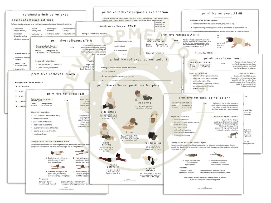 Instant Download | Primitive Reflexes: Integration, Exercises, Play ...