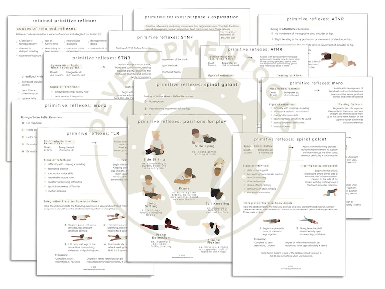 Instant Download | Primitive Reflexes: Integration, Exercises, Play Positions + Signs of ...