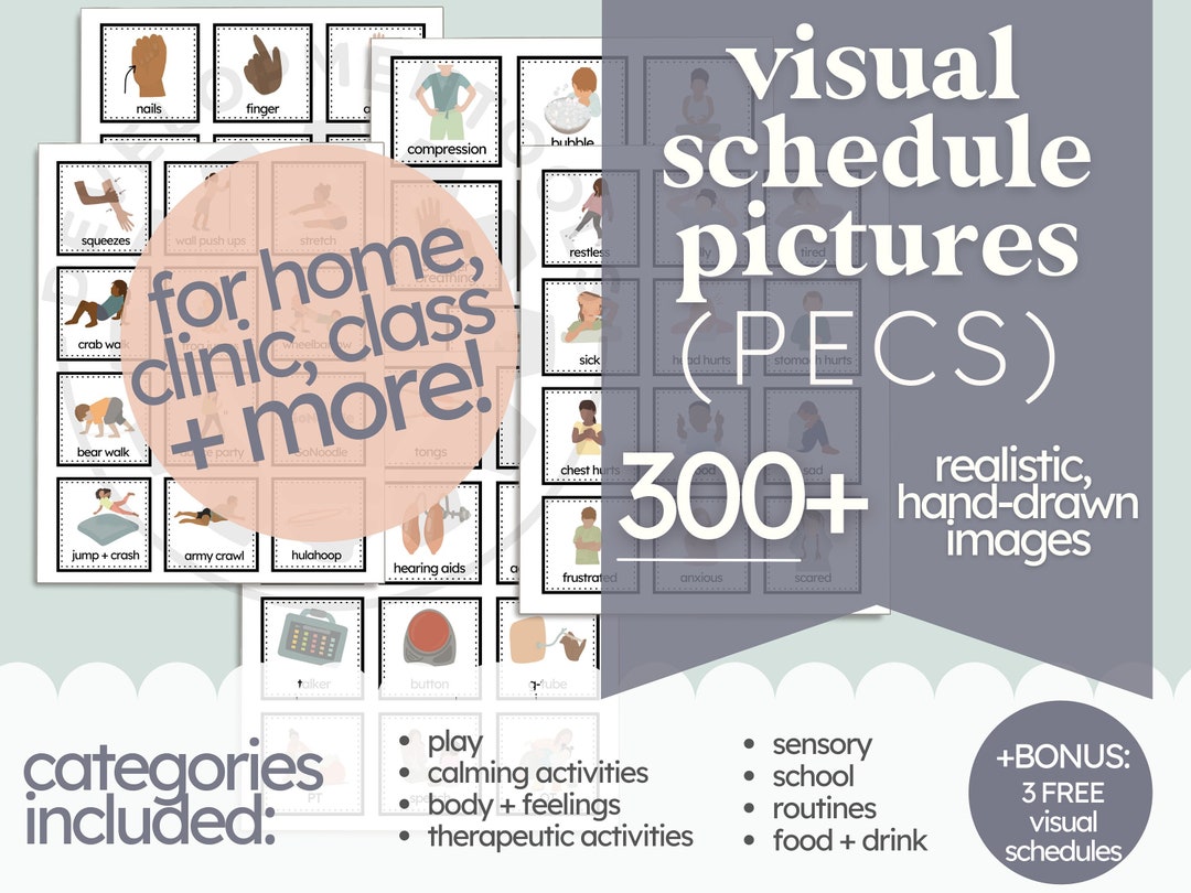 Visual Schedule Pictures (PECS) 300+ PECS and 3 Visual Schedules for ...