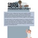 Gross Motor Milestones Chart | Early Intervention | Early Childhood ...