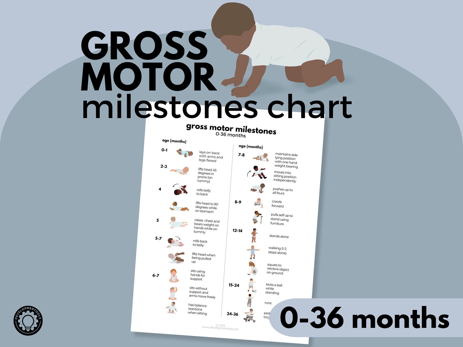 Gross Motor Milestones Chart | Early Intervention | Early Childhood ...