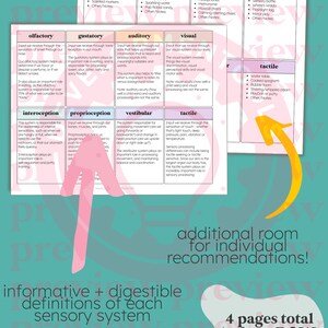 Sensory Simplified | Informational Handout With Definitions ...