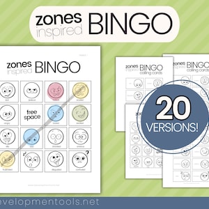 Zones of Self Regulation Inspired Bingo SEL Printable or Digital ...