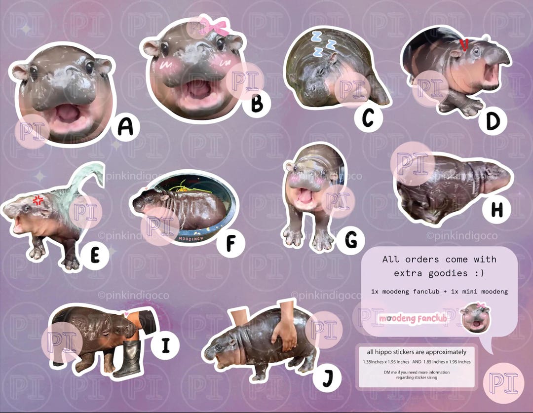 Moo Deng Sticker, Baby Pygmy Sticker, Baby Hippo Sticker, Funny Sticker ...
