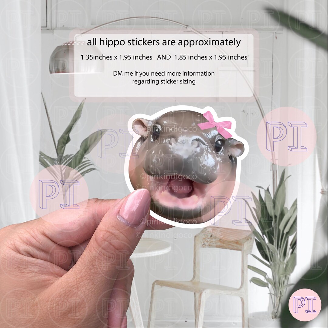 Moo Deng Sticker, Baby Pygmy Sticker, Baby Hippo Sticker, Funny Sticker ...