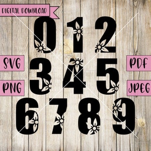 Floral Numbers Svg, Number Clipart, Numbers Decal, Flower Svg, Floral ...