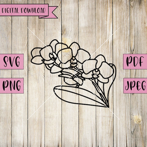 Orchids Svg - Etsy