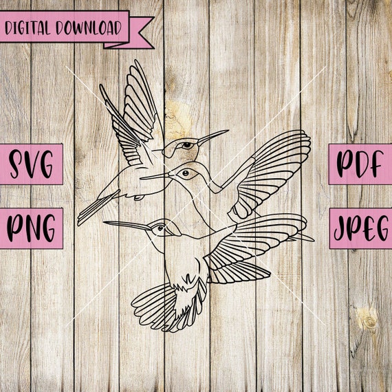 Hummingbird Svg Hummingbirds Svg Hummingbird Vector - Etsy