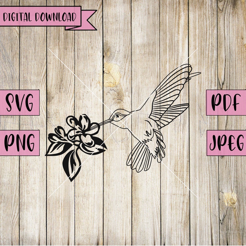 Hummingbirds Svgs Hummingbird Svg Hummingbird Decal Honey - Etsy