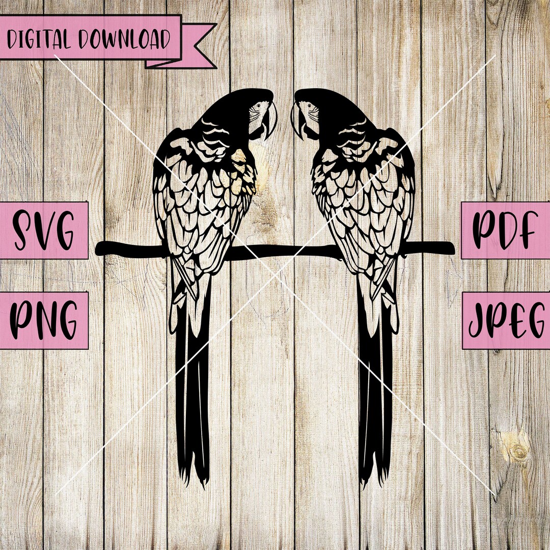 Parrots Svg, Bird Svg, Animal Vector, Parrot Svg, Feathers Svg, Polly ...