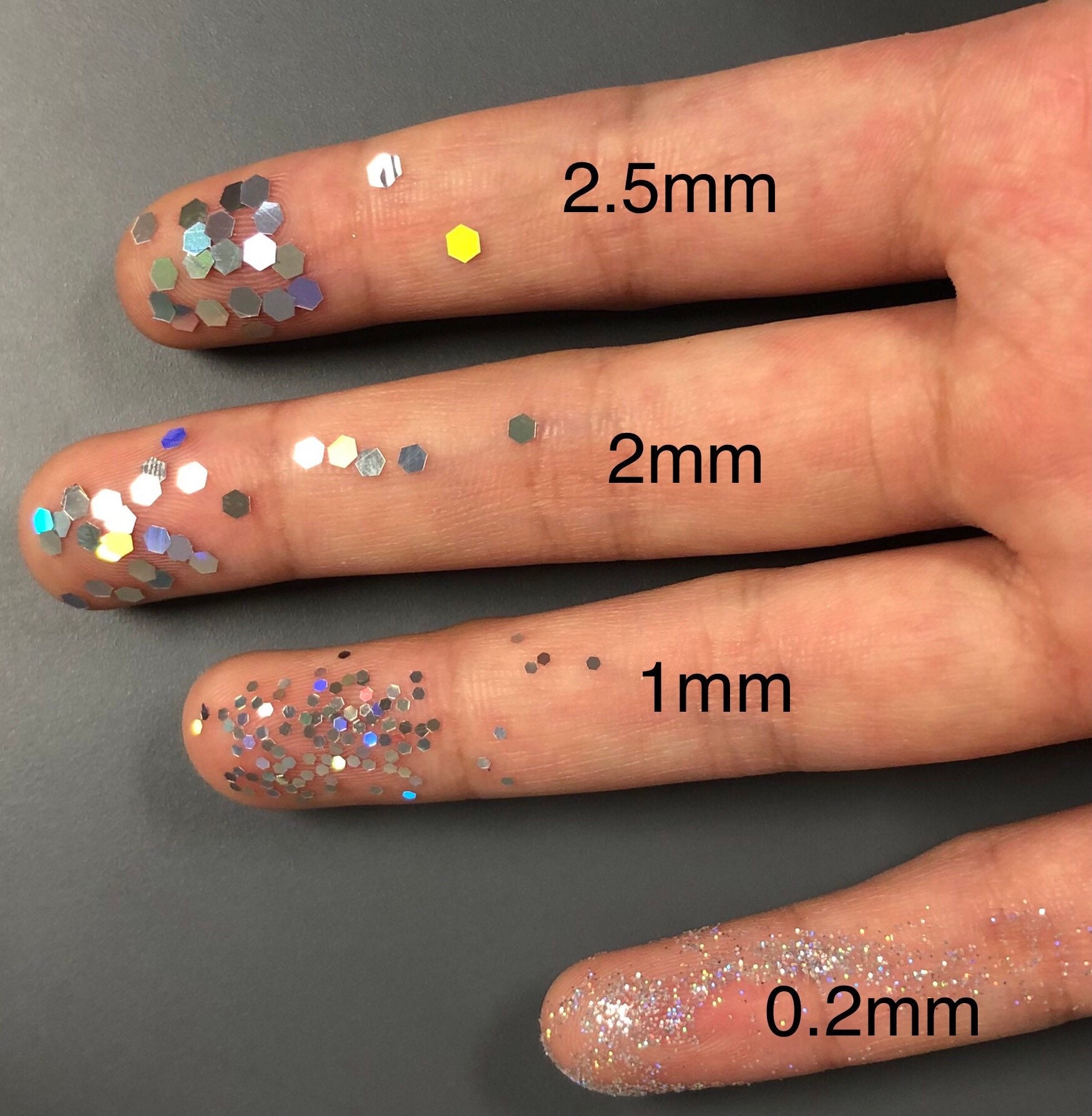 Single Size Silver Holographic Glitter One Size Glitter - Etsy