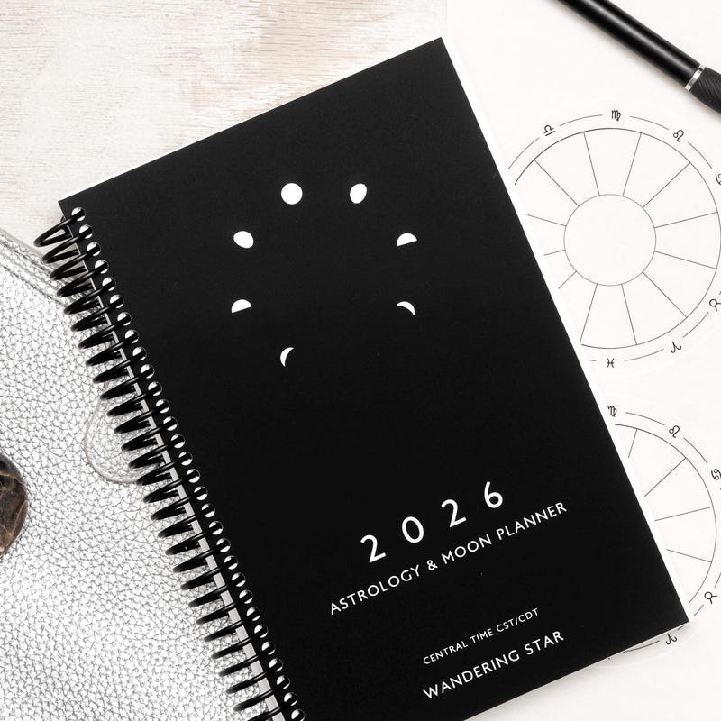 Spiral Daily 2026 Diary - Etsy