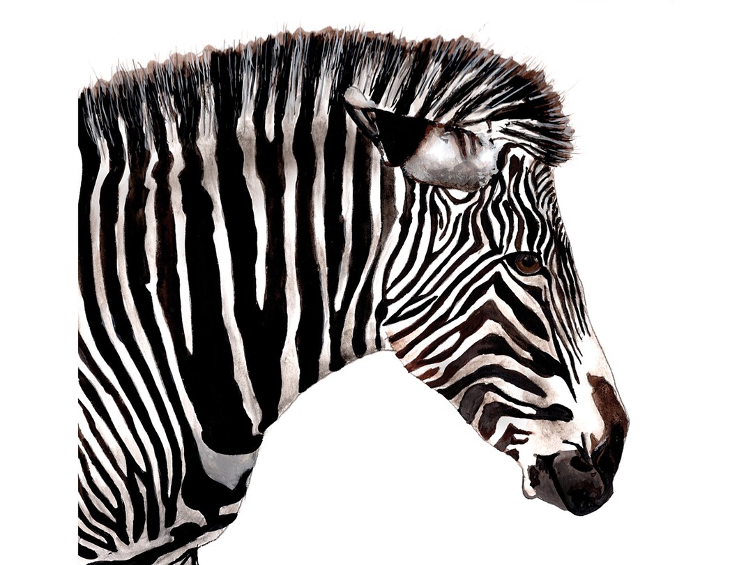 Zebra Print - 15x15cm - Etsy