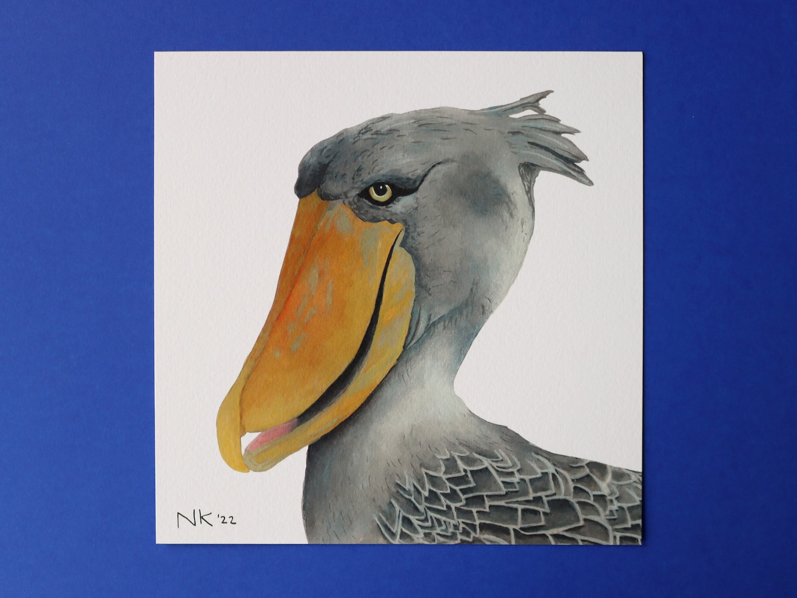 Shoebill Stork Print 20x20cm - Etsy