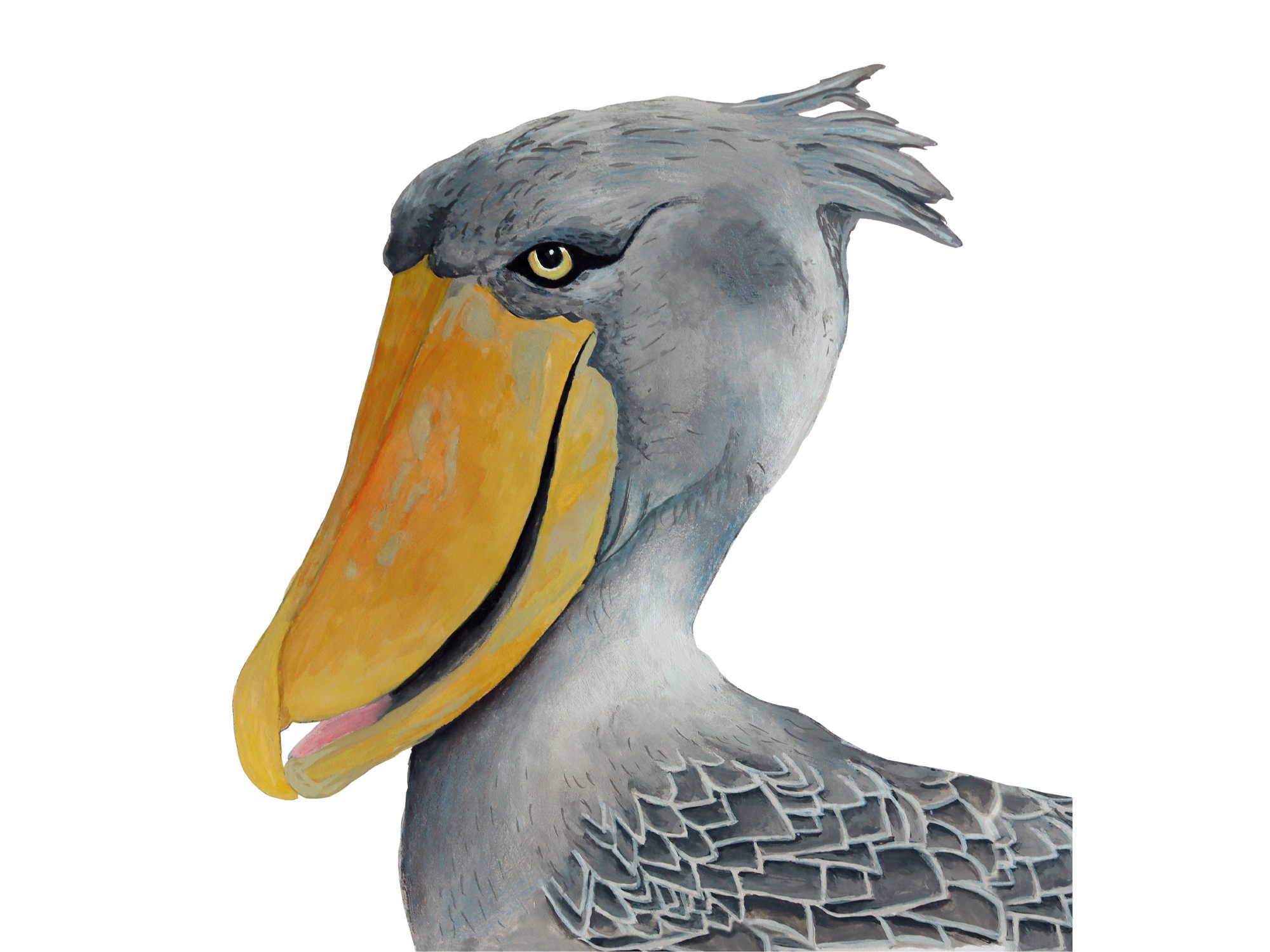 Angry Shoebill
