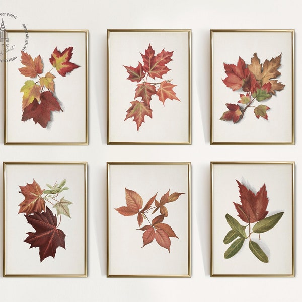 Fall Leaves Print - Etsy