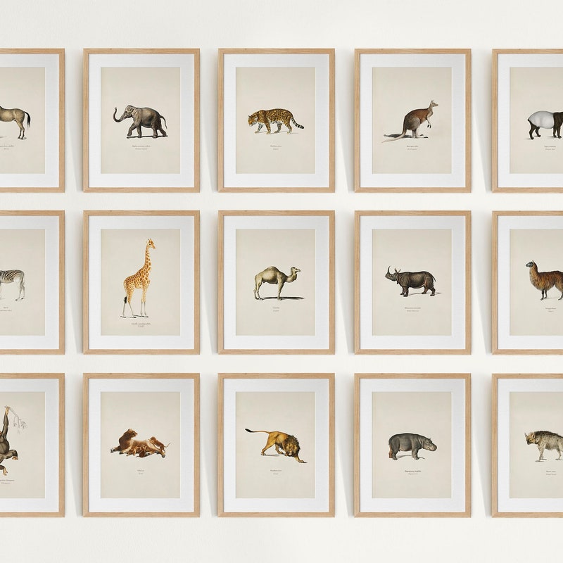 Animal Prints - Etsy UK