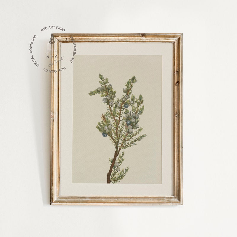 Juniper Home Decor - Etsy