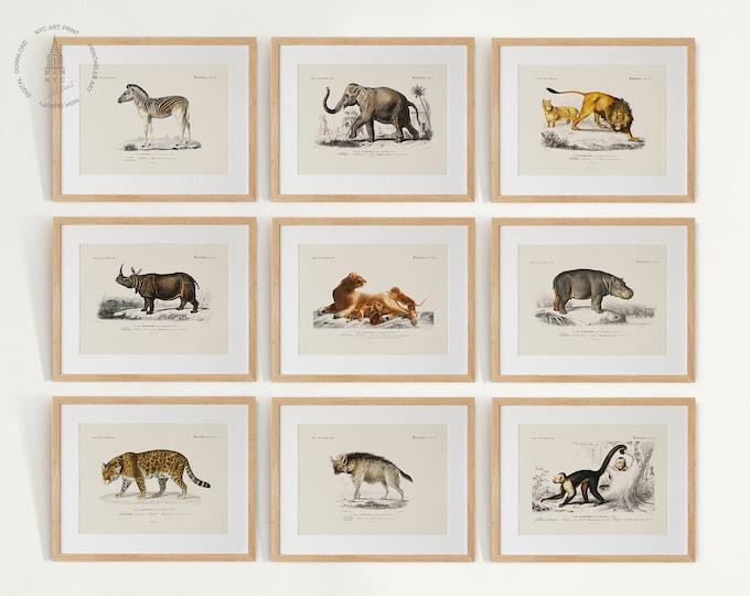 Vintage Safari Travel Poster - Etsy