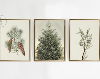Winter Botanical Prints, Pine Tree Branch, Gallery Wall Set of 8 ...