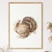Turkey Printable, Thanksgiving Decor, Watercolor Turkey Digital Print ...