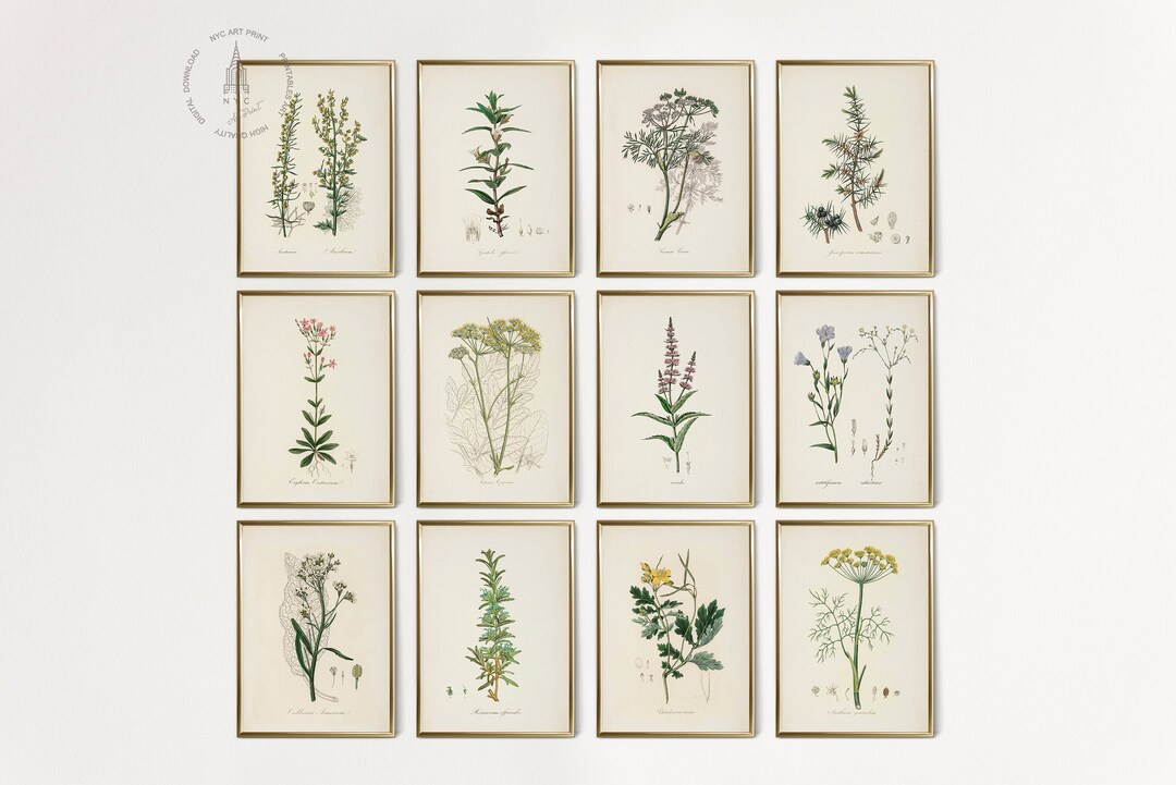 Vintage Kitchen Herbs Gallery Wall Set of 12, Botanical Prints, Herbs ...