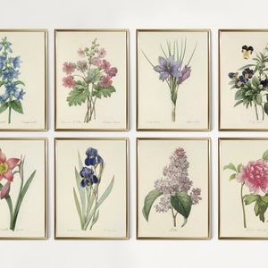 Vintage Spring Flowers Gallery Wall Set of 9, Spring Botanical Prints ...
