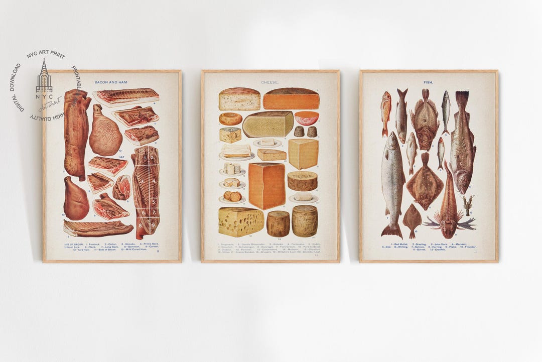 Vintage Food Chart Prints Set of 3, Butcher Cuts Art, Cheese Meat Fish ...