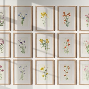 Vintage Botanical Gallery Wall Set of 15, Wildflower Art, Botanical ...