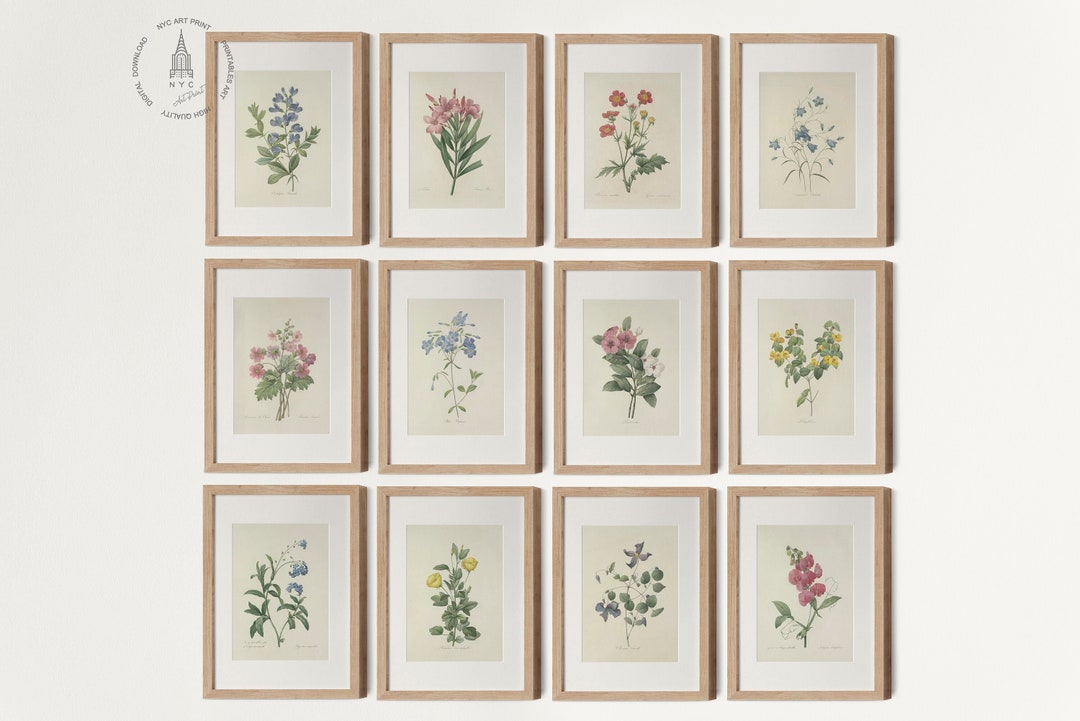 Vintage Botanical Gallery Wall Set of 12, Botanical Prints, Vintage ...