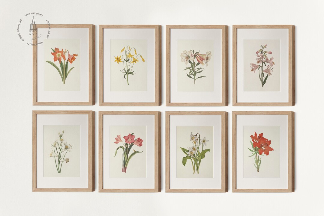 Lily Flower Botanical Art Prints Gallery Wall Set of 8, Vintage Flower ...