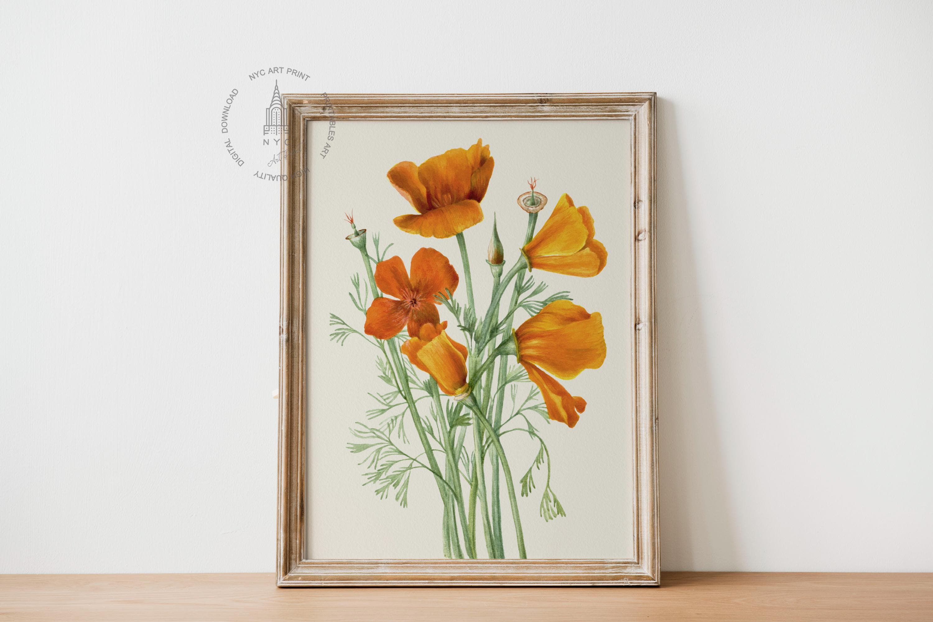 Vintage Poppy Print, California Poppy Print, Vintage Flower Painting ...