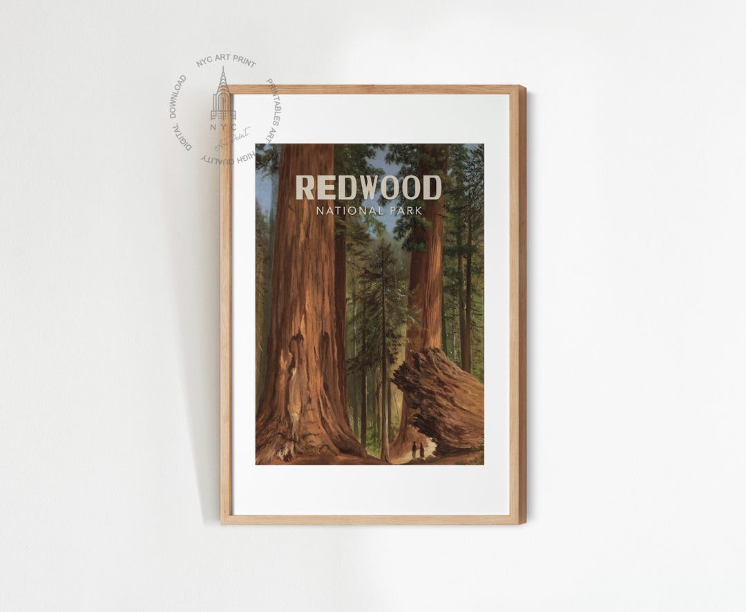 Redwood National Park Poster, Vintage National Park Poster, Travel ...