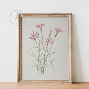 Set of 3 Vintage Botanical Prints, Pink Floral Poster, Botanical Prints ...