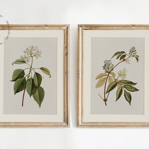 French Country Gallery Wall Set of 10, French Country Decor, Antique ...