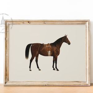Vintage Horse Gallery Wall Set of 9, Horse Prints, Horse Painting ...