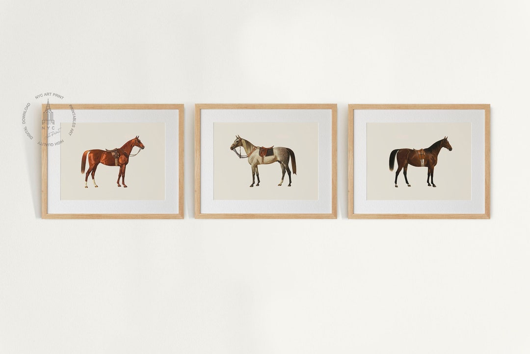 Vintage Horse Gallery Wall Set of 3, Horse Prints, Vintage Horse ...