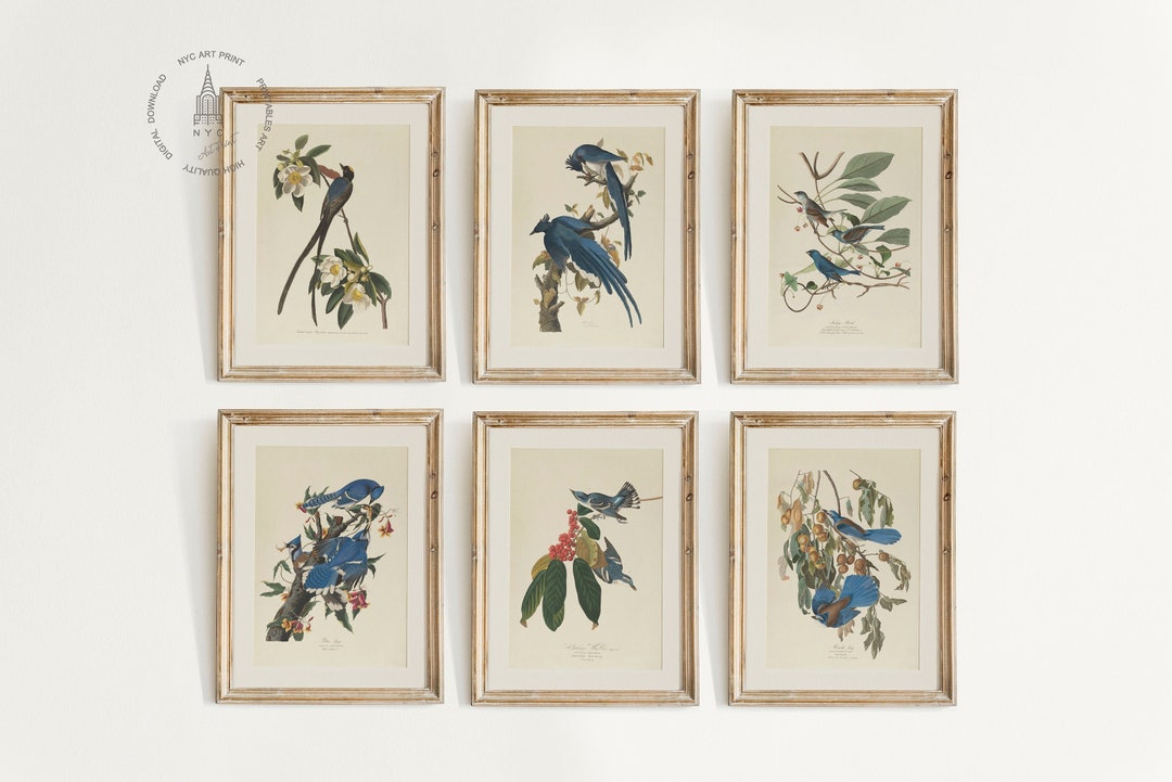 Set of 6 Vintage Birds Prints, Blue Birds Print, Vintage Birds Painting ...